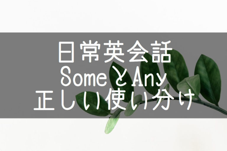 【日常英会話】a few some severalの違い 特にsomeが特殊な件 | -基本の教科書- 例文で覚える英語の使い方！